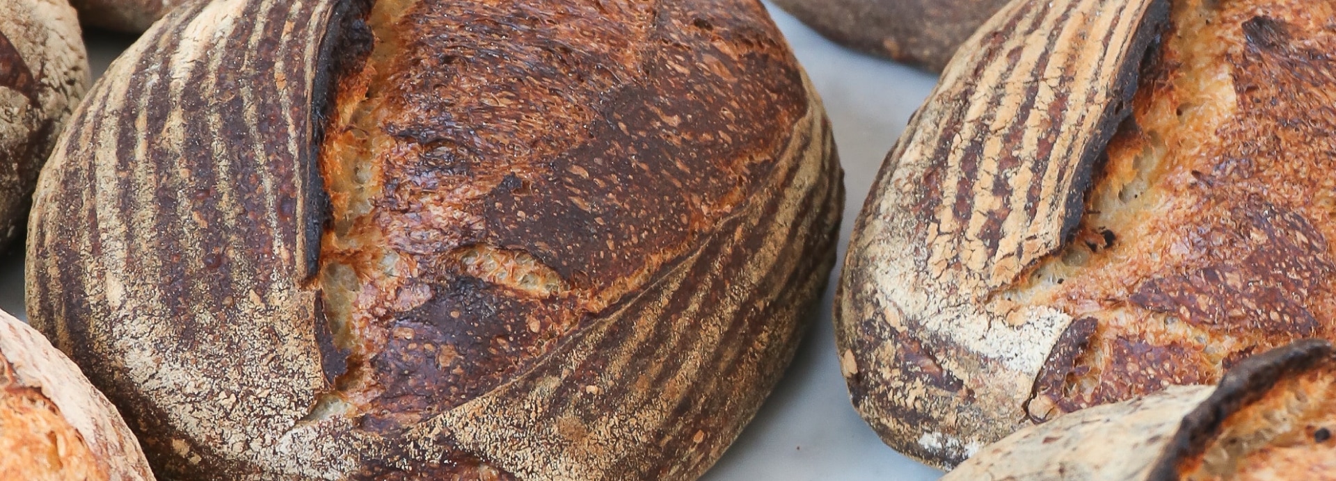 Our Breads - Impeweb